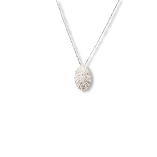 Vibrant Lister Limpet Necklace – Clark & Clark